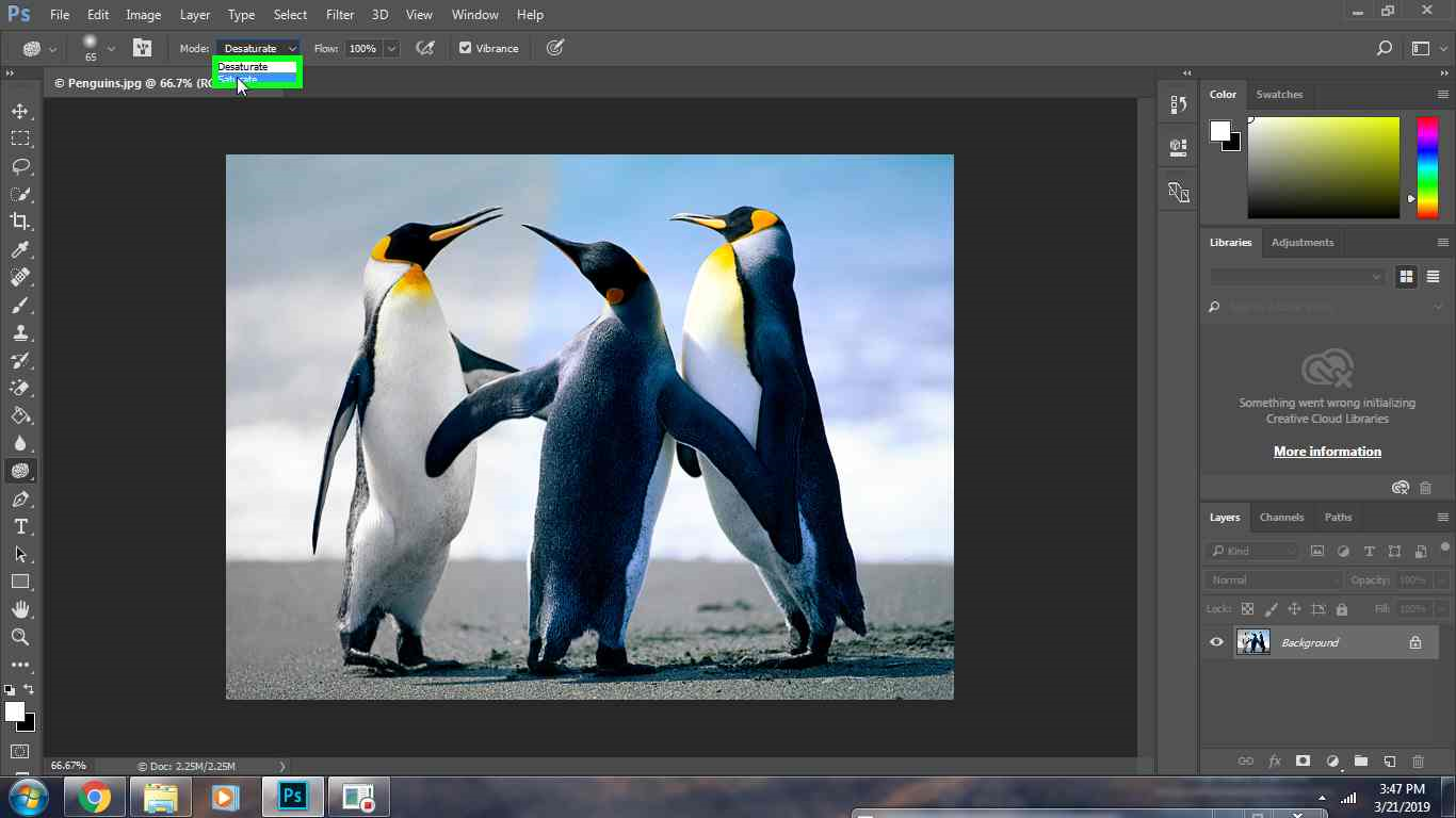 Photoshop for beginners – PTL