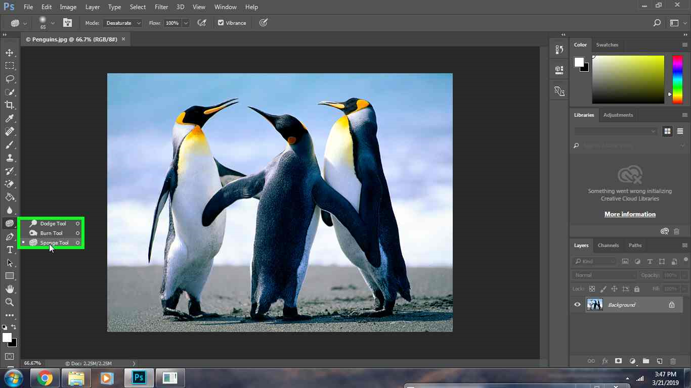 Photoshop for beginners – PTL